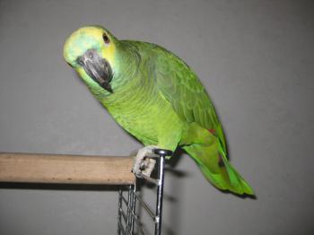 2009… – Helen Grund